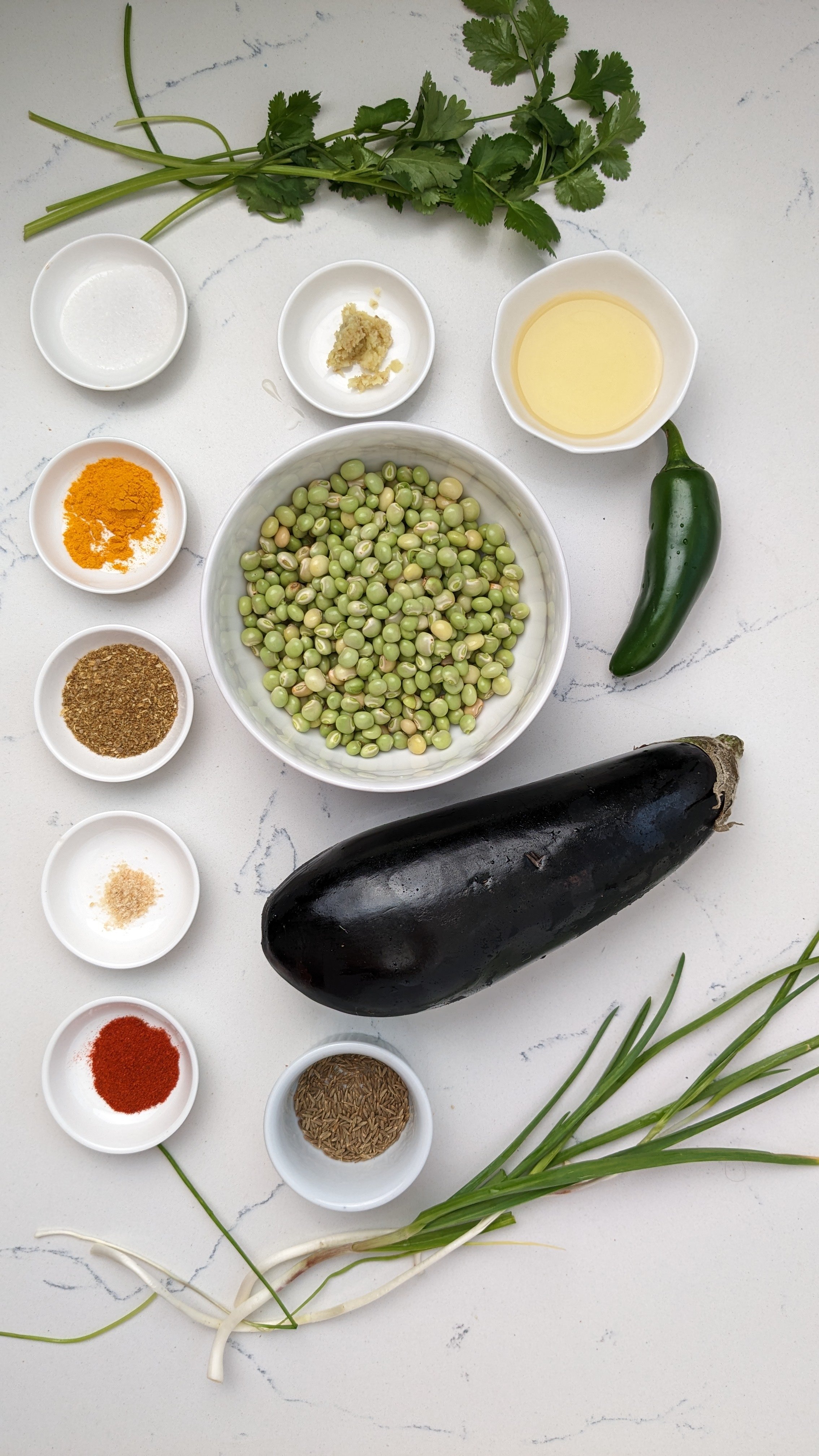 Ringan Tuvar nu Shaak | Eggplant and Pigeon Pea Shaak - Indiaphile