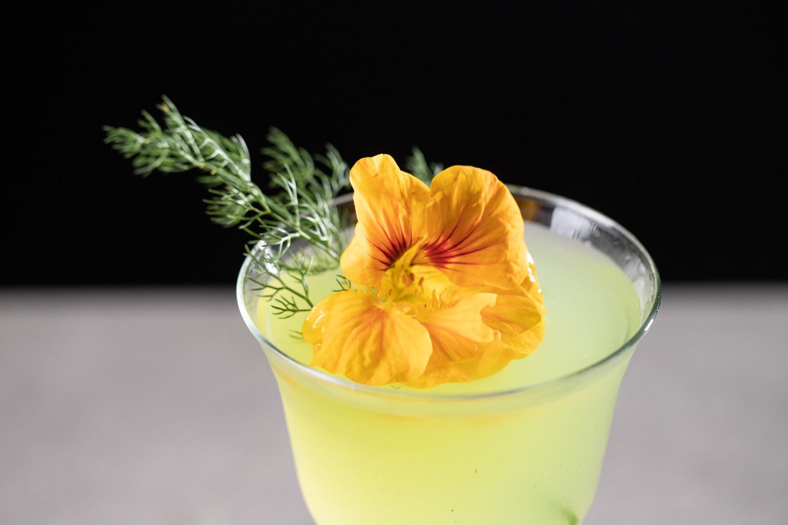 Fennel Cocktail - Indiaphile